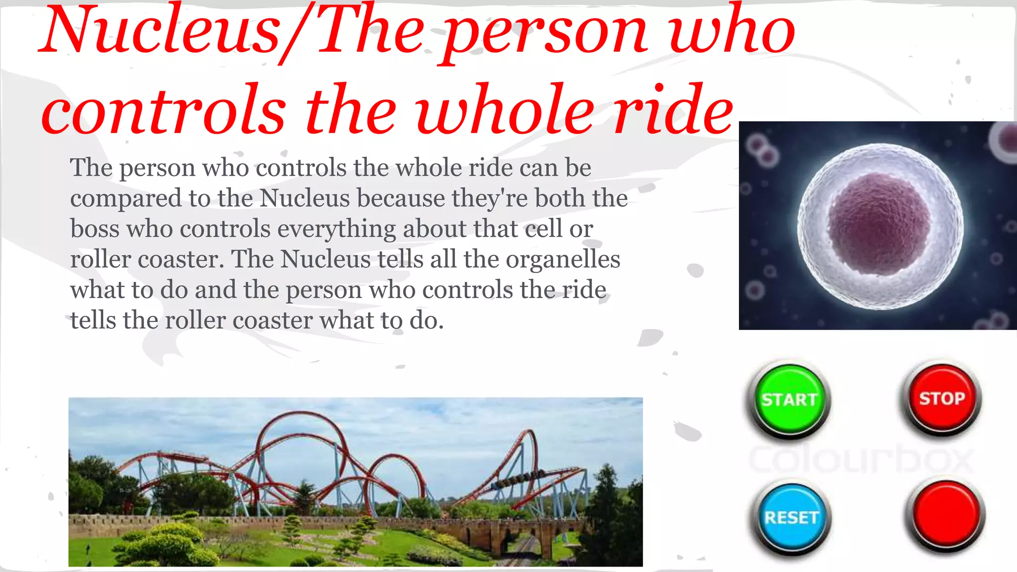 Cell as a roller coaster | PPTX