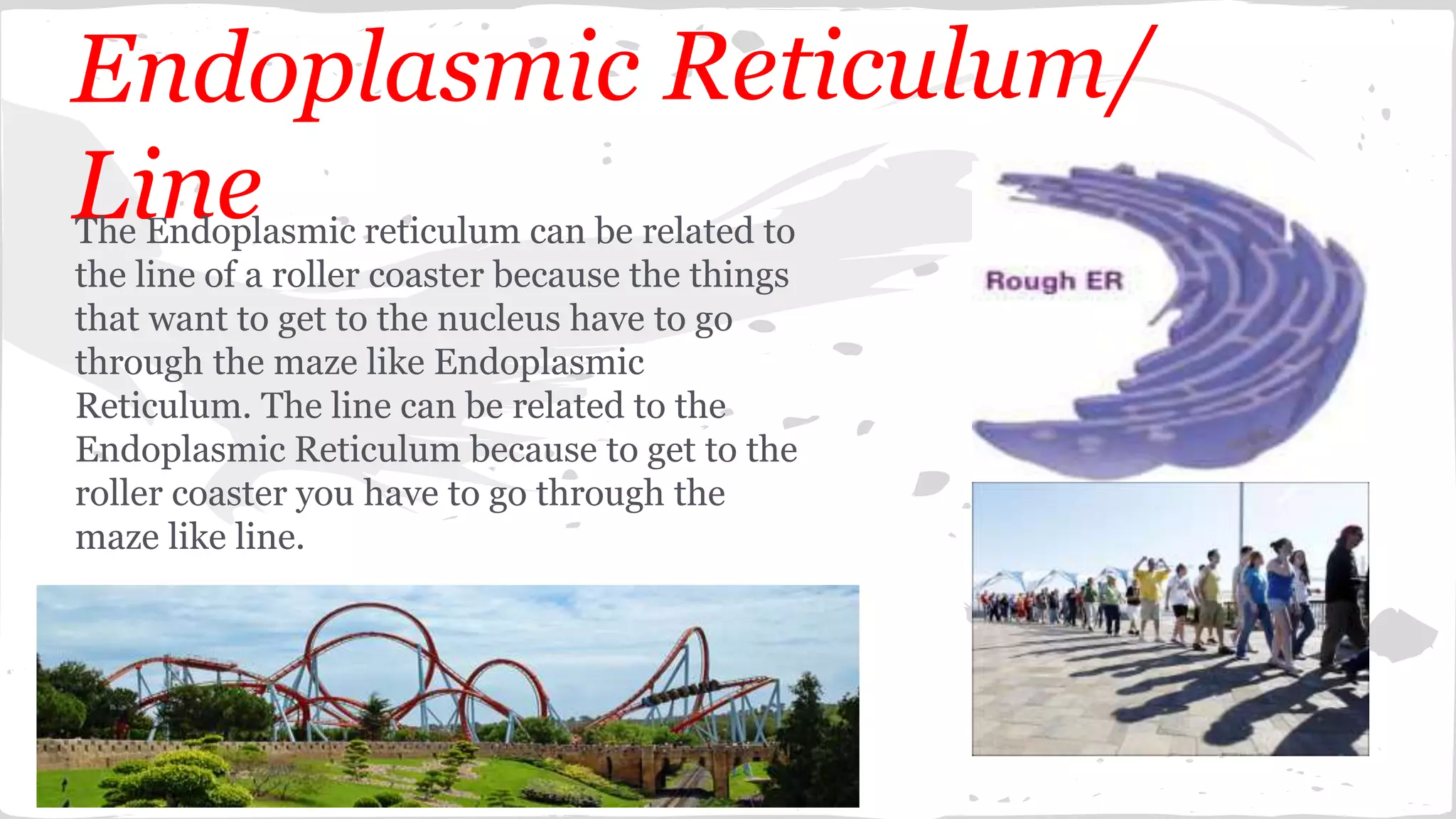 Cell as a roller coaster | PPTX