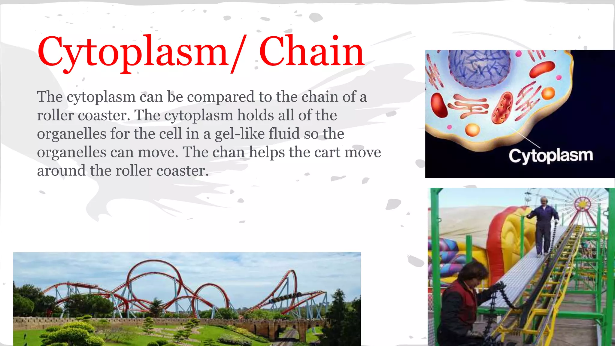 Cell as a roller coaster | PPTX