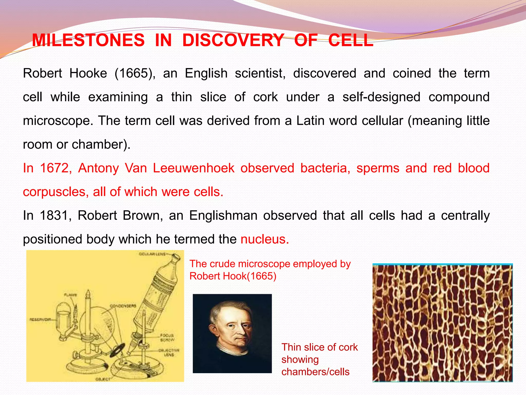 Cell as basic unit of life ppt 88 slides | PPTX