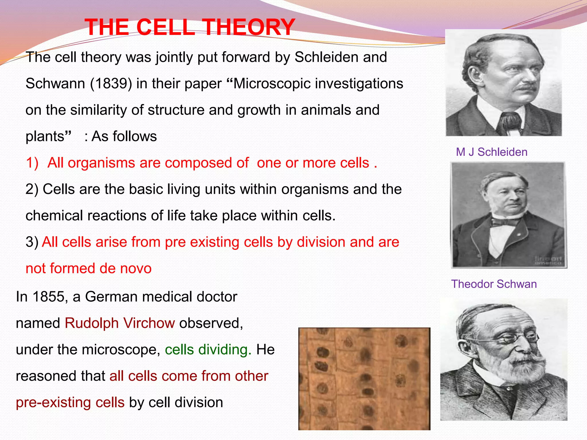 Cell as basic unit of life ppt 88 slides | PPTX