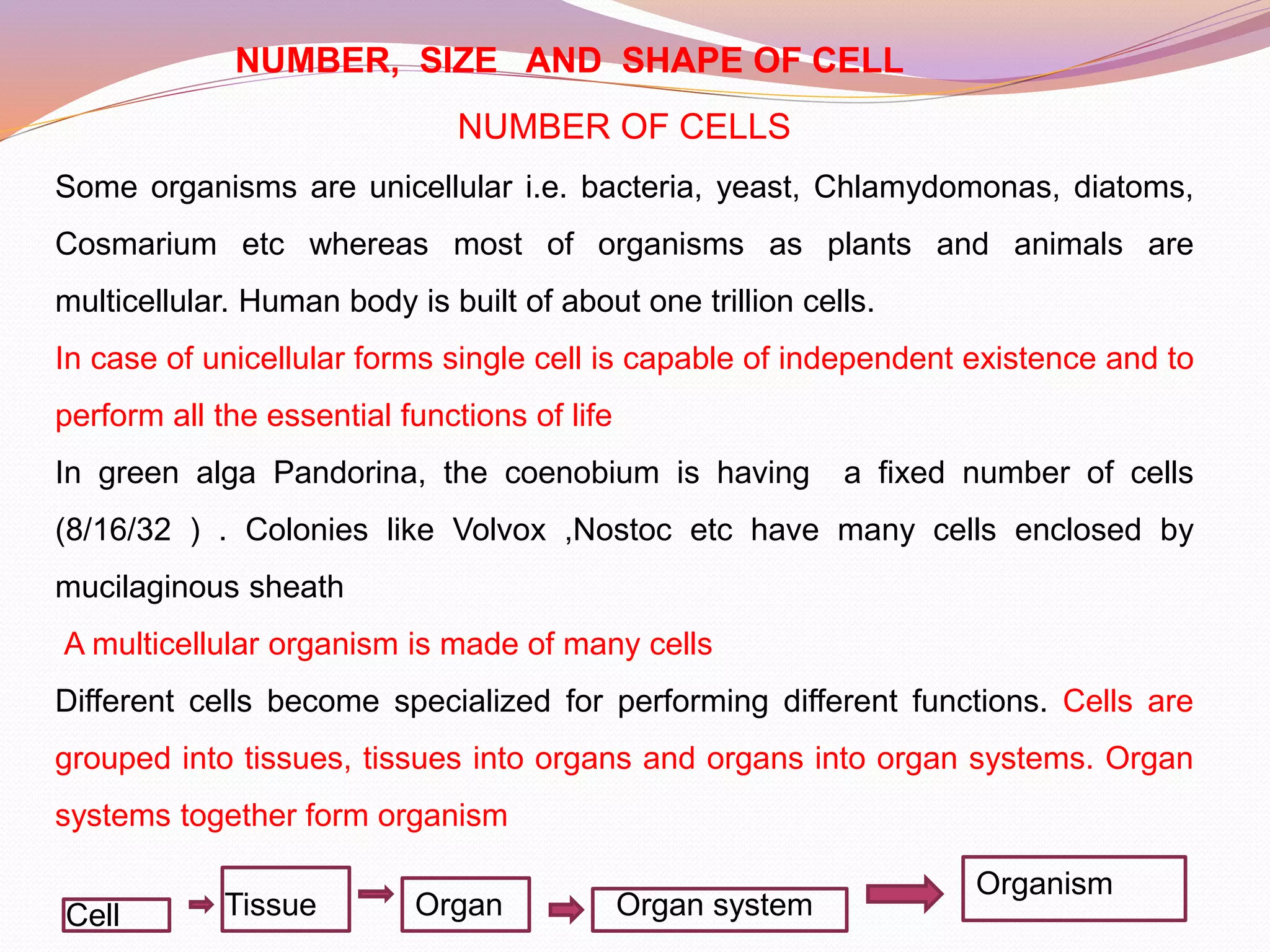 Cell as basic unit of life ppt 88 slides | PPTX