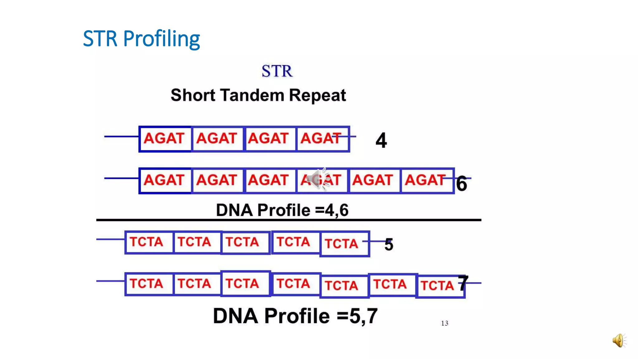 short tandem repeats profile | PPTX
