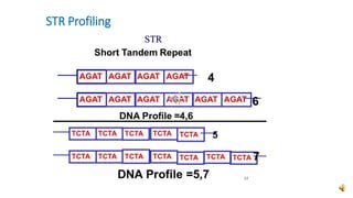 short tandem repeats profile | PPTX