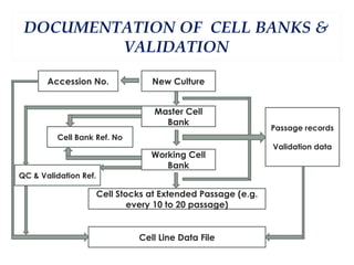 Cell bank maintenence | PPT
