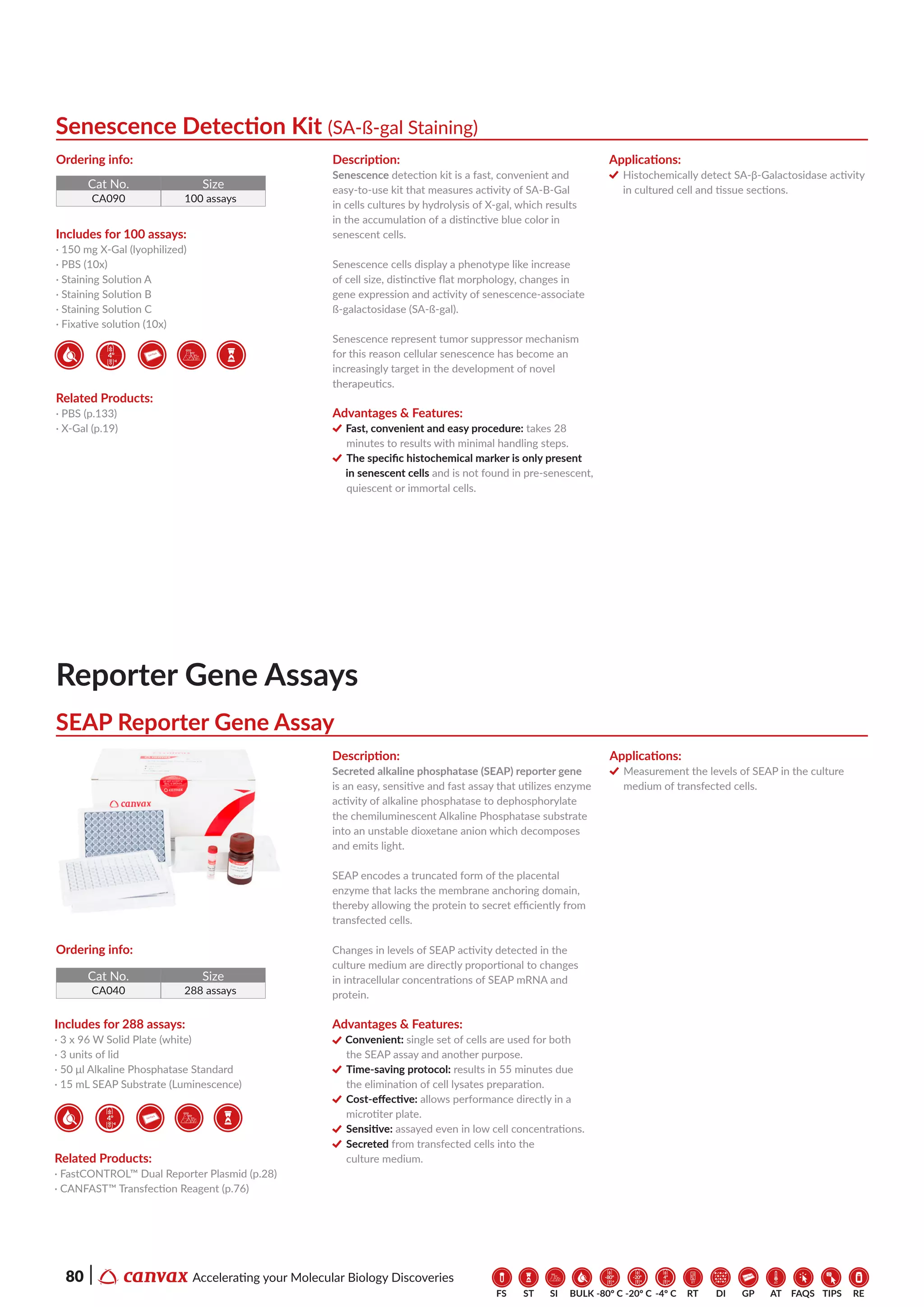 Cell Based Assays Pdf