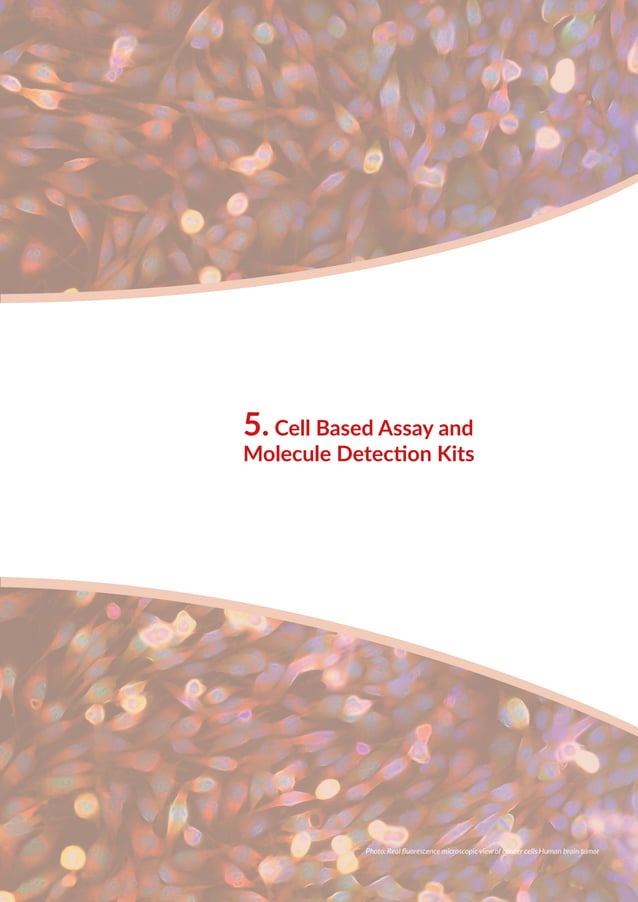 Cell based Assays | PDF | Chemistry | Science