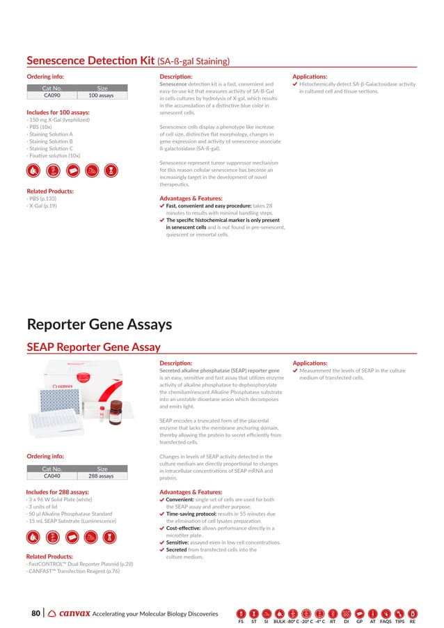 Cell based Assays | PDF | Chemistry | Science
