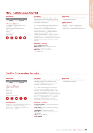 Cell based Assays | PDF