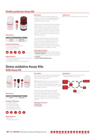Cell based Assays | PDF