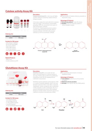 Cell based Assays | PDF