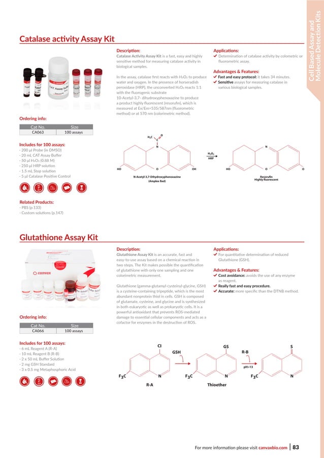 Cell based Assays | PDF | Chemistry | Science