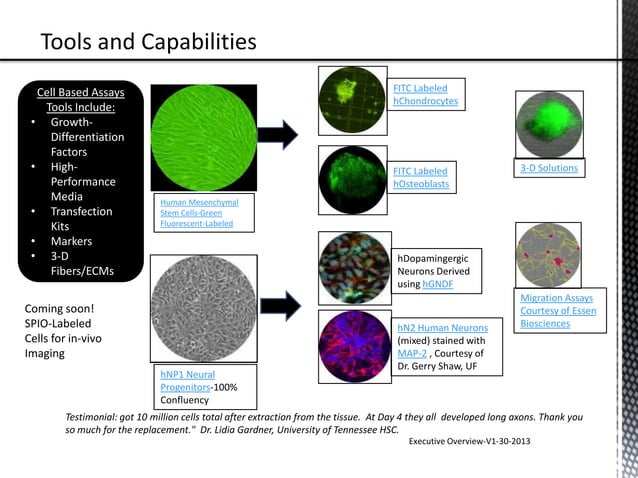 Cell based assays presentation V2_03_2012 | PPTX | Biotech and ...