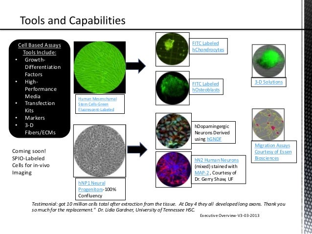 Cell Based Assays Presentation V3032012