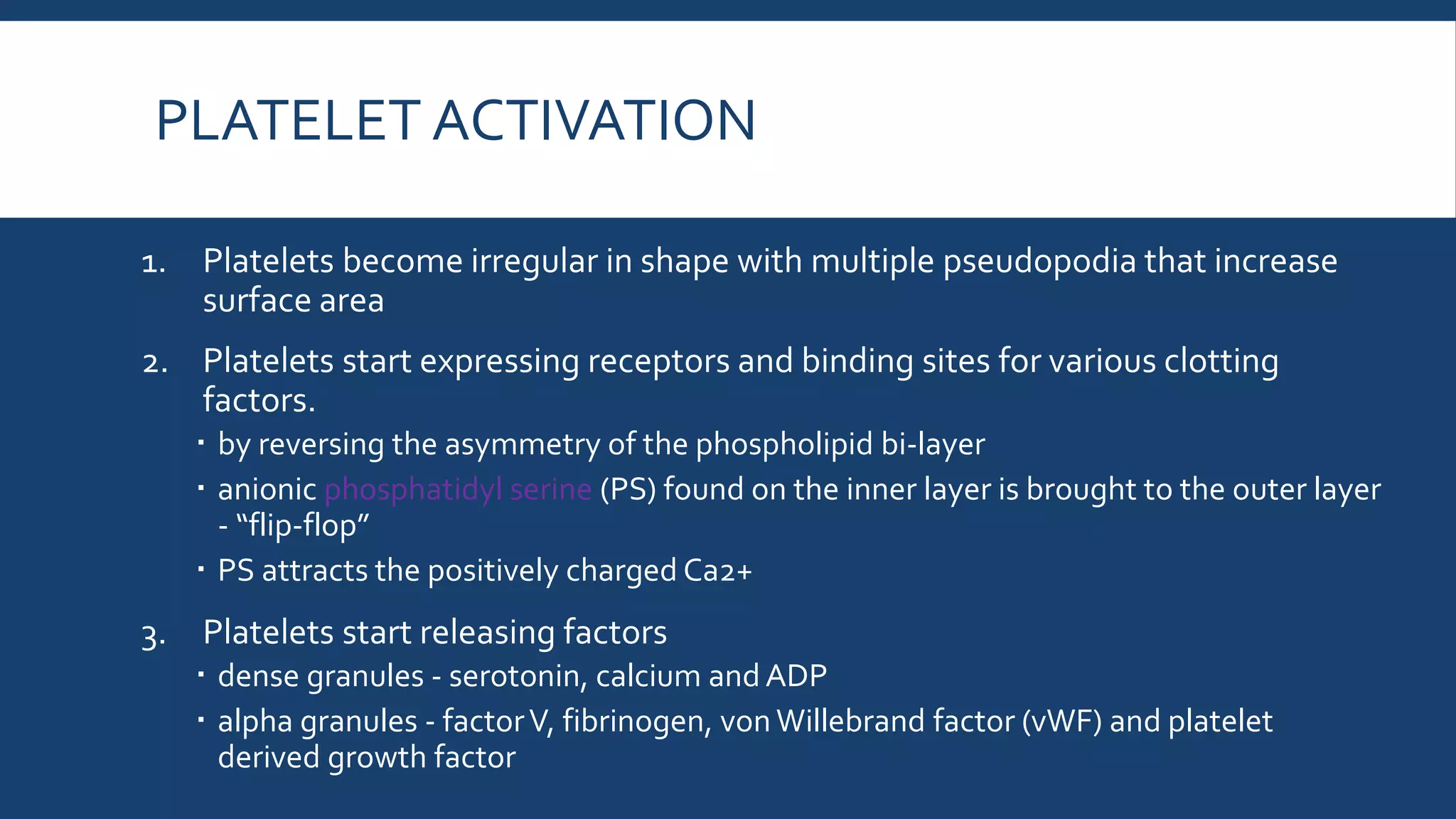 Cell based model of coagulation | PPTX