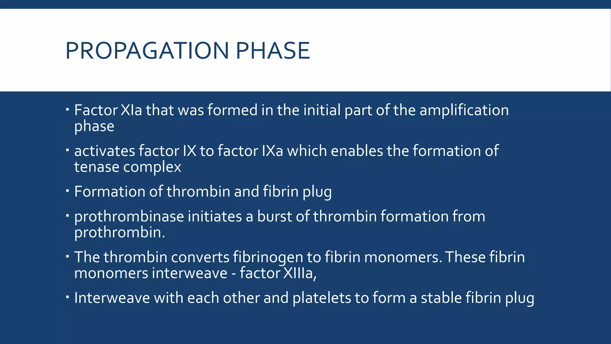 Cell based model of coagulation | PPTX