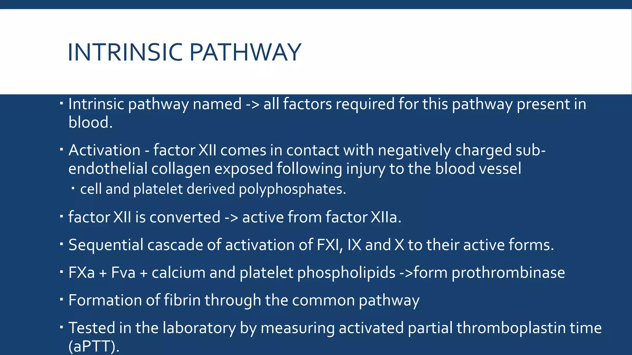 Cell based model of coagulation | PPTX