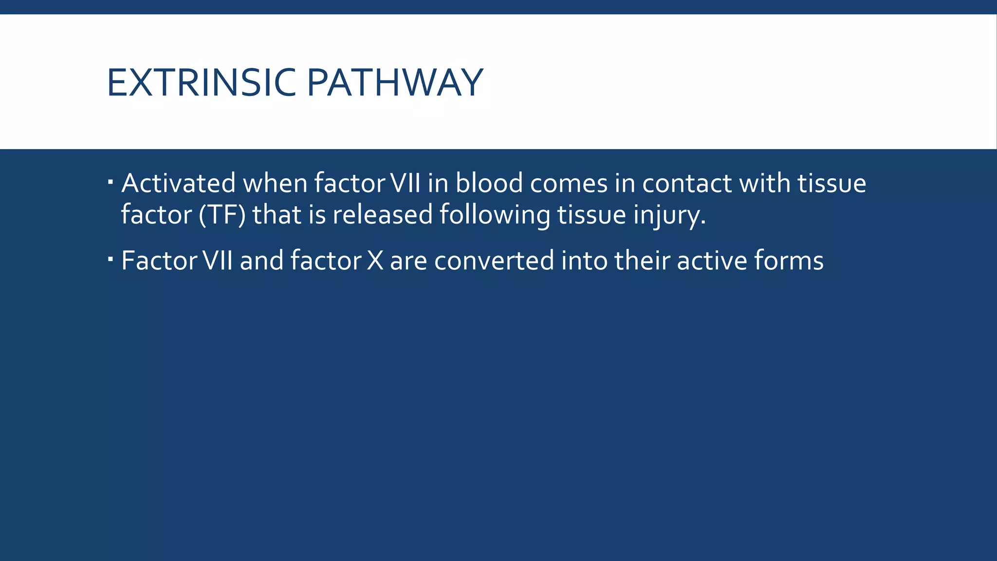 Cell based model of coagulation | PPTX