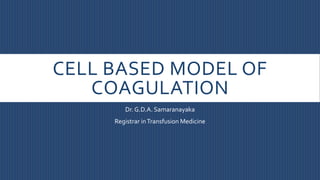 Cell based model of coagulation | PPTX