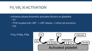Cell based model of coagulation | PPTX
