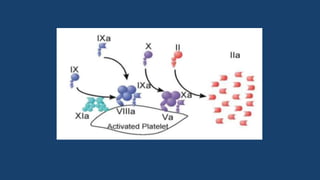 Cell based model of coagulation | PPTX