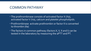 Cell based model of coagulation | PPTX