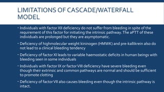 Cell based model of coagulation | PPTX