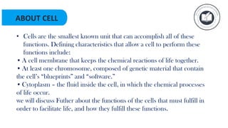 Cell basics | PPT