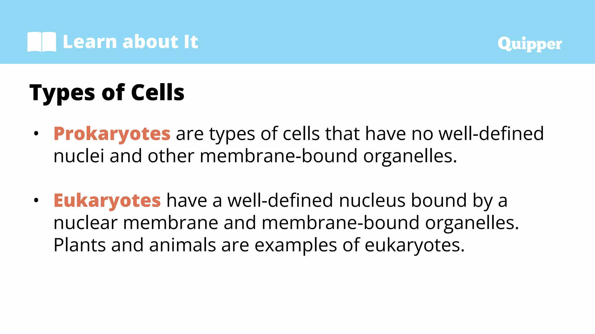 Cell Basic Structural and Functional Unit of Life.pptx