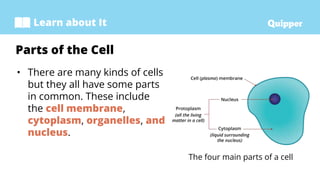 Cell Basic Structural and Functional Unit of Life.pptx