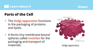 Cell Basic Structural and Functional Unit of Life.pptx