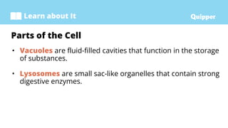 Cell Basic Structural and Functional Unit of Life.pptx
