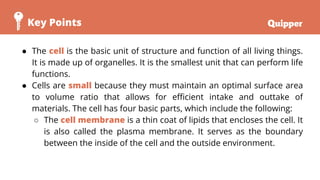 Cell Basic Structural and Functional Unit of Life.pptx