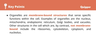 Cell Basic Structural and Functional Unit of Life.pptx