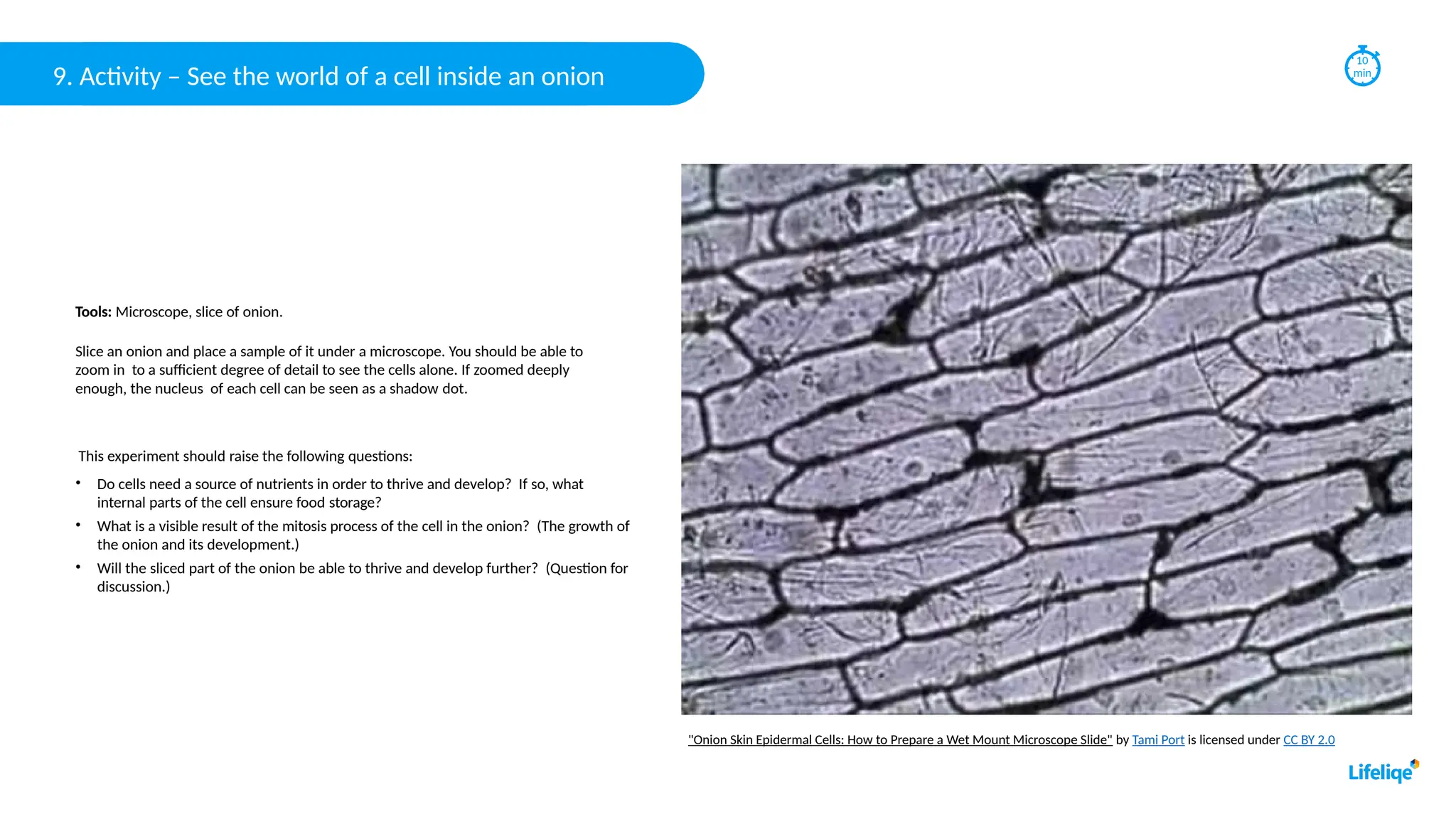 Cell, basic structure of all living creatures.pptx