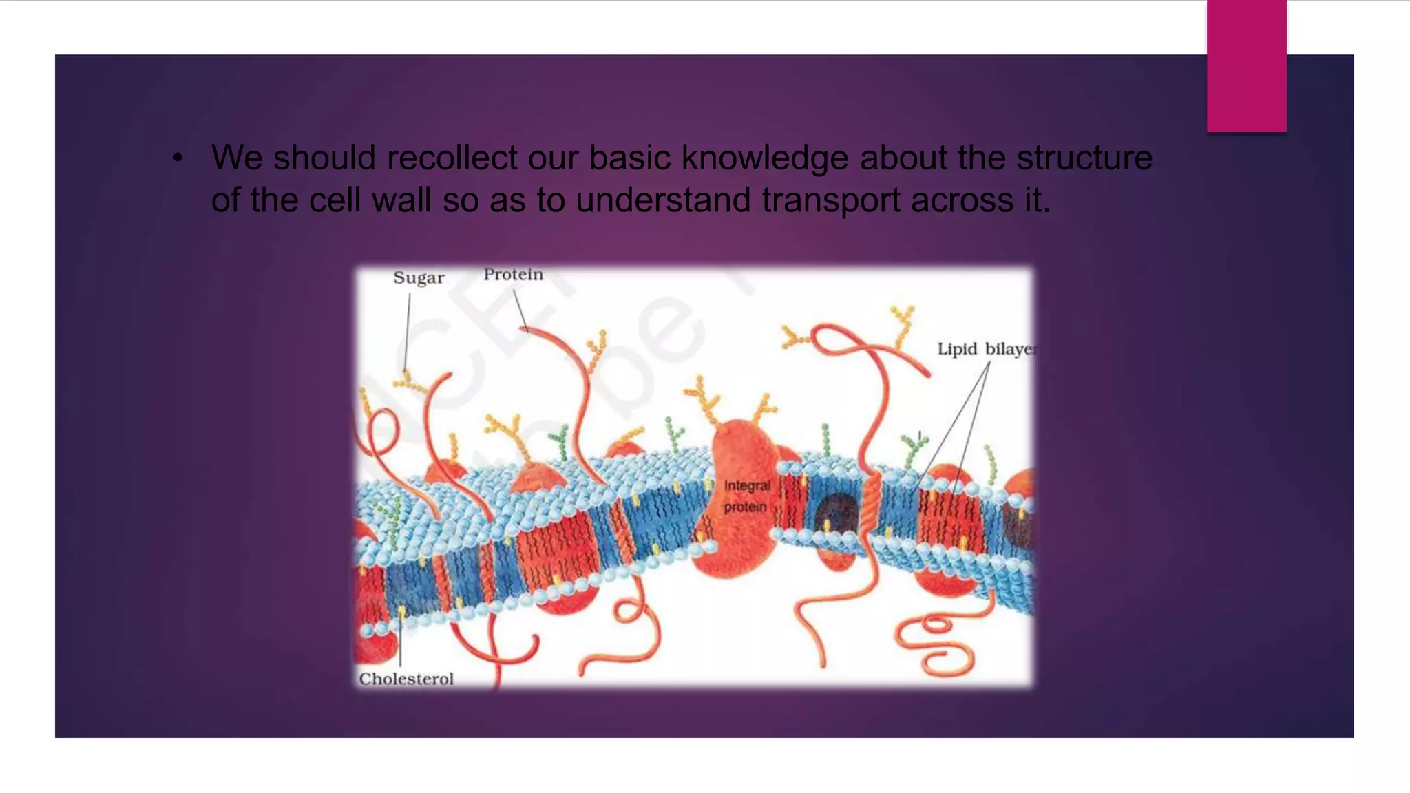 transport across membrane (cell biology) | PPT