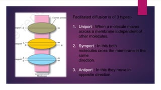 transport across membrane (cell biology) | PPT