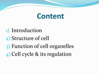 Cell bio | PPT