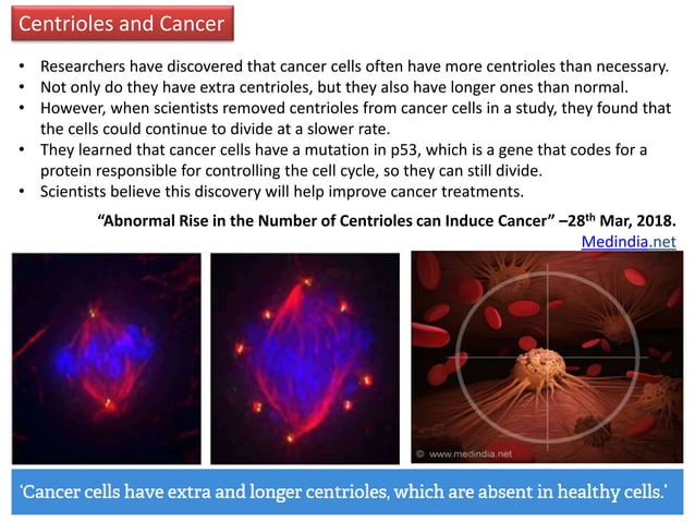 Cell Biology Ppt || Centrioles and Centrosome | PPTX