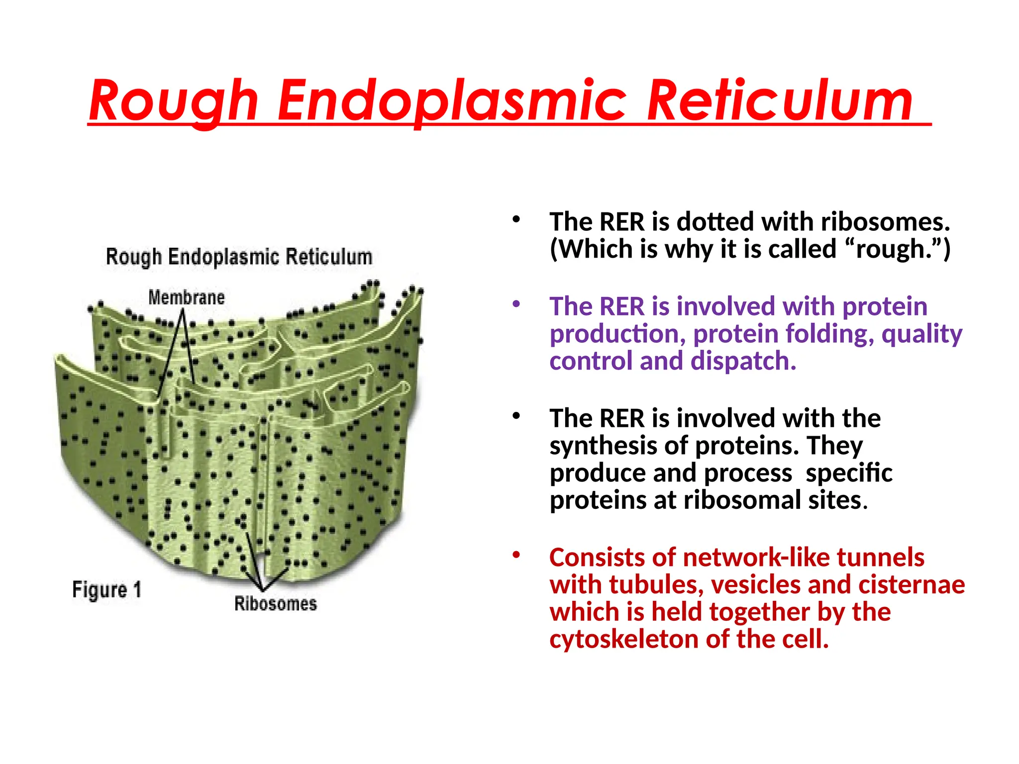 CELL Biochemistry.ppt cell structure & function | PPT