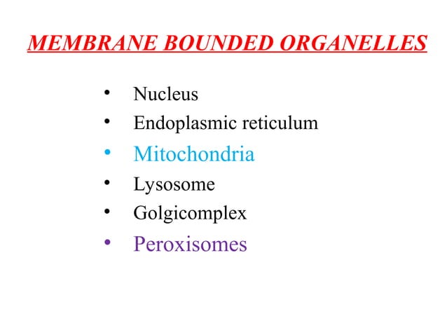 CELL Biochemistry.ppt cell structure & function | PPT | Biological ...