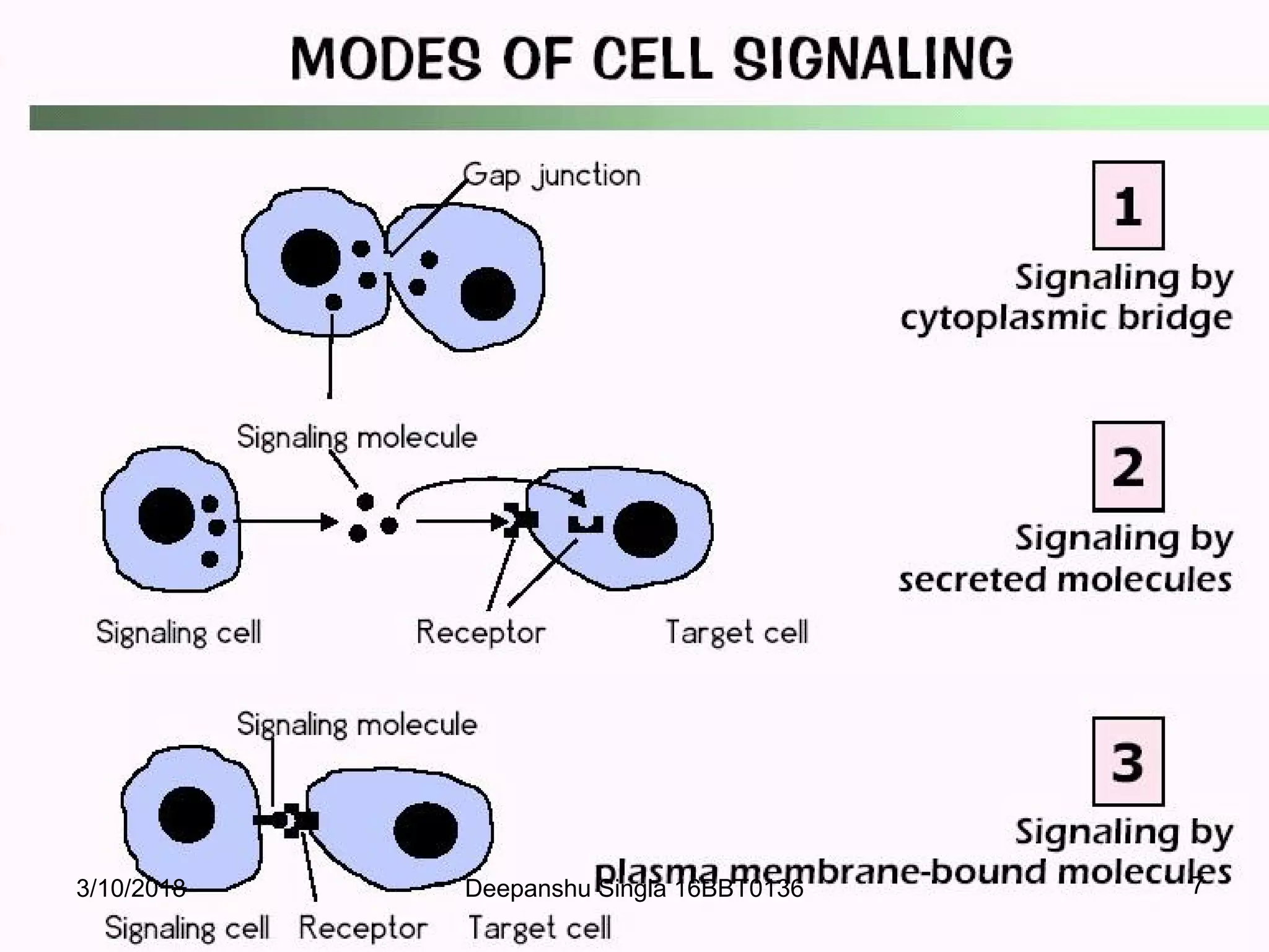 CELL SIGNALLING: Mechanism and Current trends | PDF