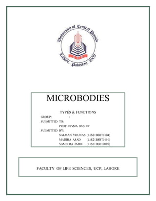 MICROBODIES | DOCX