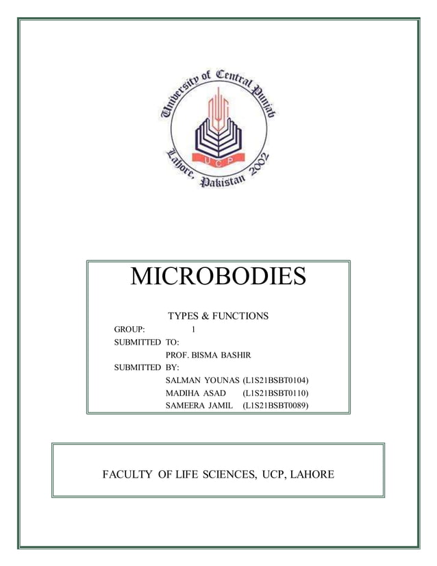 MICROBODIES | DOCX | Biological Sciences | Science