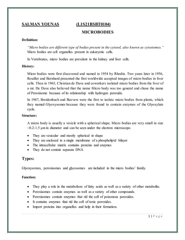 MICROBODIES | DOCX | Biological Sciences | Science
