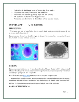 MICROBODIES | DOCX