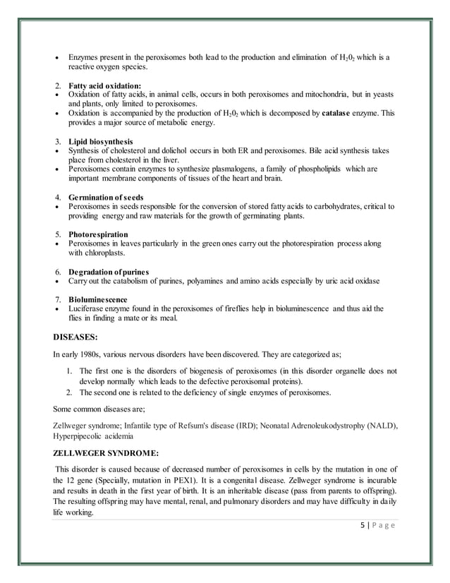 MICROBODIES | DOCX | Biological Sciences | Science