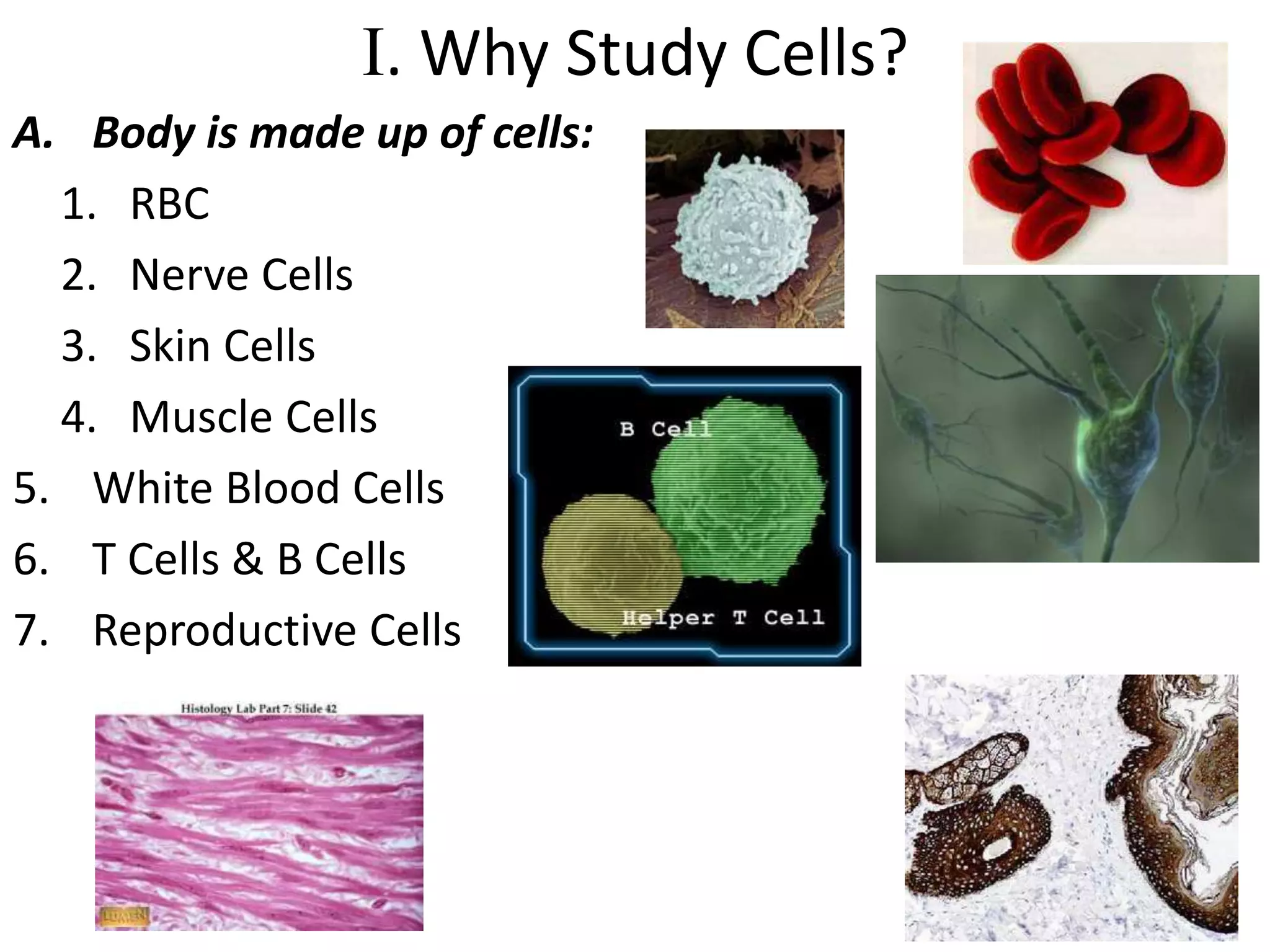 cell biol chap-1 lec ppt.ppt