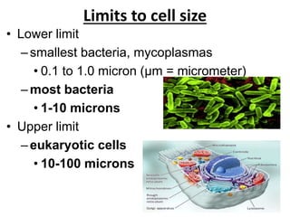 cell biol chap-1 lec ppt.ppt