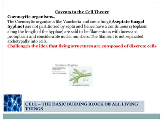 cell biology - (1).pptx